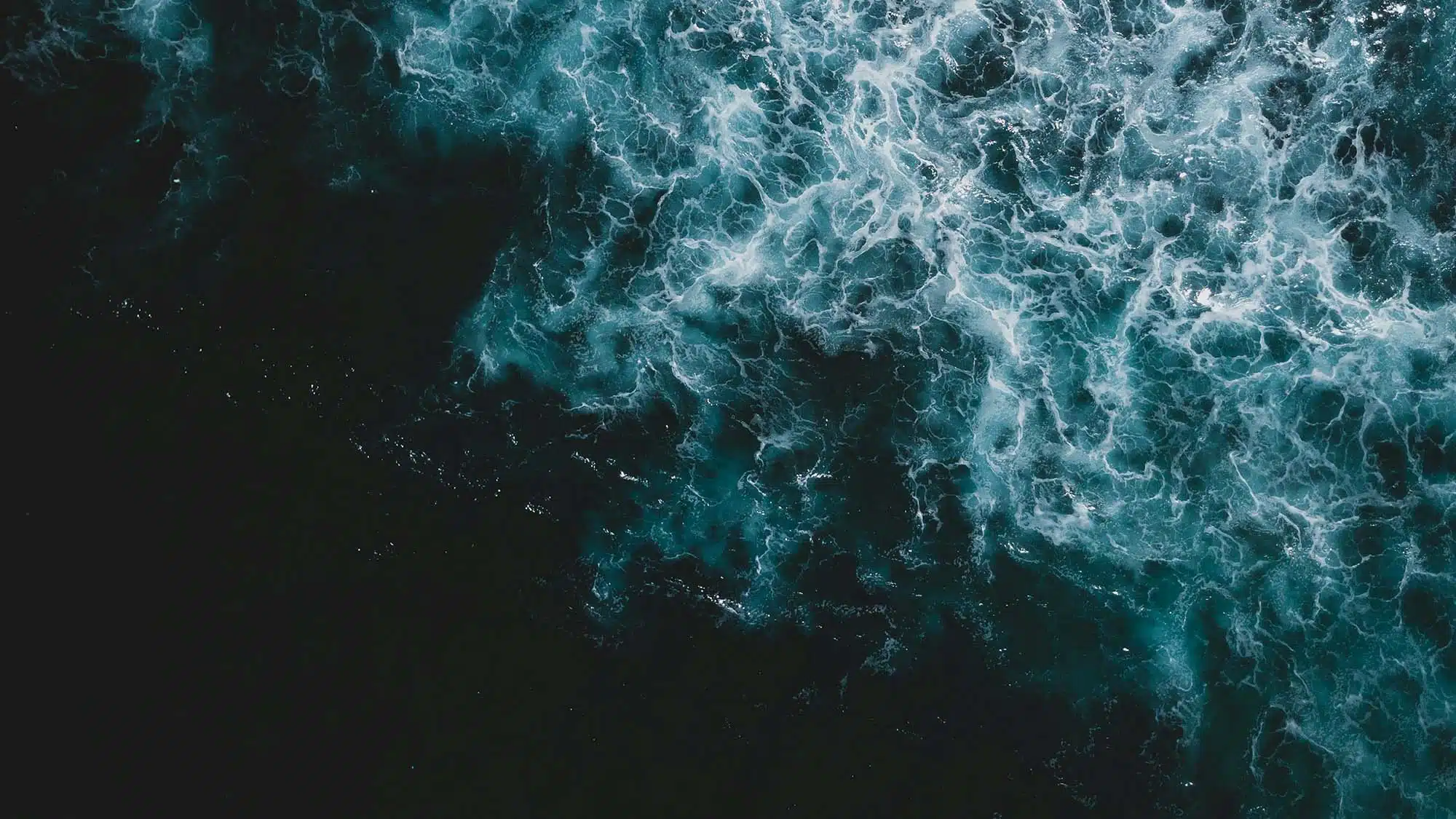 Grant Interest Form - Sailing Foundation of New York